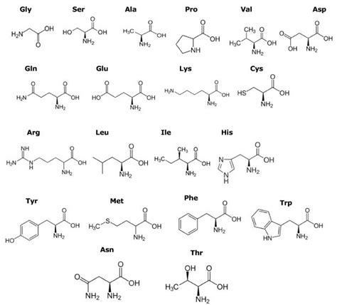 Analysis Of 20 Underivatized Amino Acids