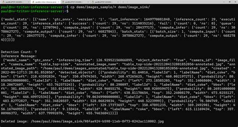 Module 14 Deploy Model To Nvidia Triton Inference Server Machine Learning On Azure