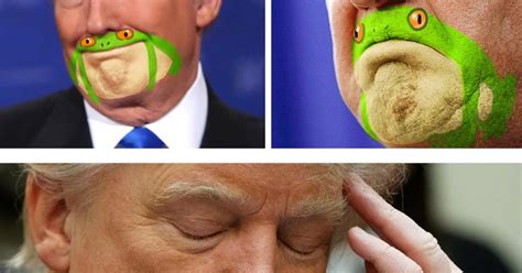 Berges Cartoon Blog Pepe Meet President Frog