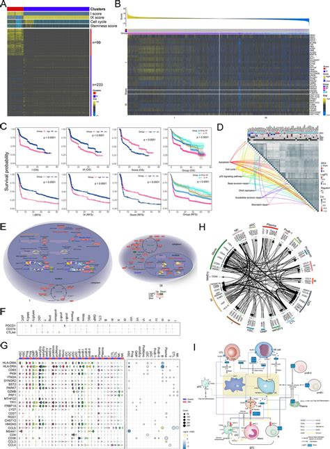 Multi Omics Anomaly Procedure For Mm Malignant Origin A Expression