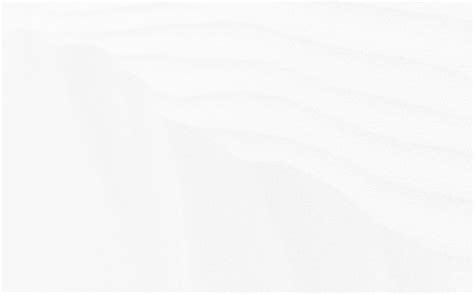 Fondo Abstracto De Color Blanco Minimalista Para Diseños Elegantes Y
