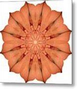 K Sexual Mandala For Erotic Spirituality Photograph By Chris Maher Fine Art America