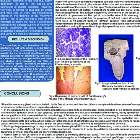 Pdf Macro And Micro Structure Of Furstenberg Rosette And Teat Canal In Cows