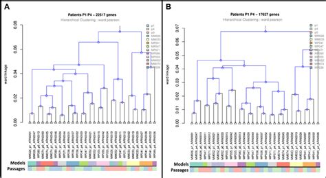 E Gene Expression Study A Hierarchical Clustering Of Paired Patient