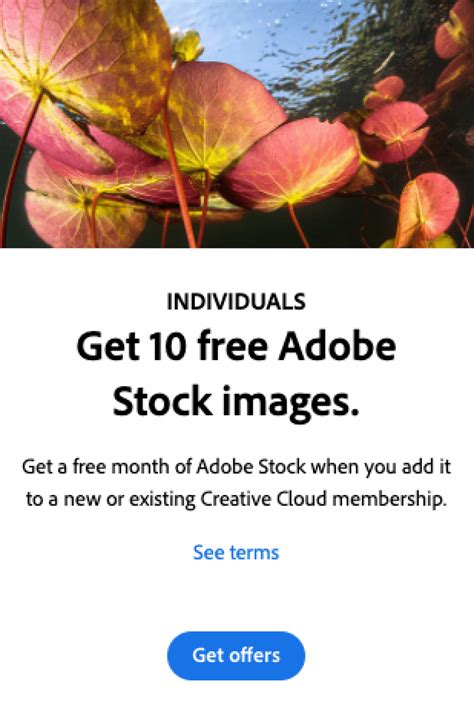 Adobe Stock Free Trial Unlock Your Creativity With A Free Adobe Stock