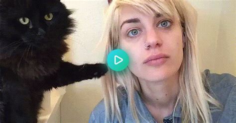Never Knew Cats Could Comb Hoomans  On Imgur