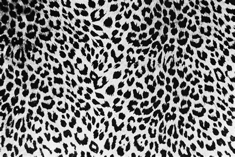 200 Leopard Print Wallpapers