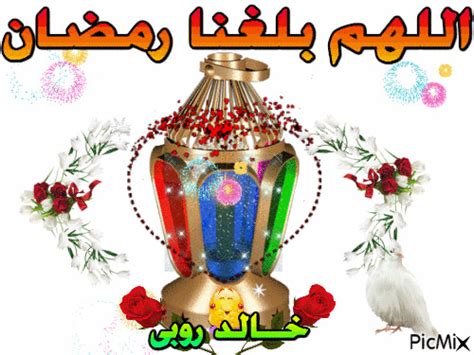 Free Animated Gif Picmix