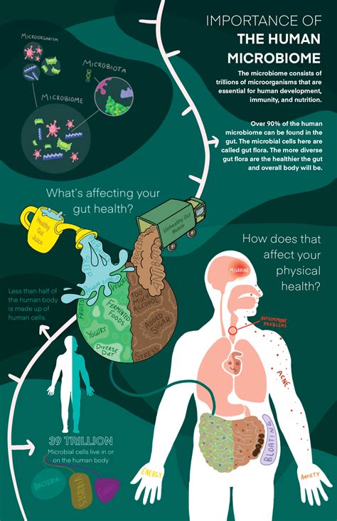 Microbiome Info Graphics Poster On Behance