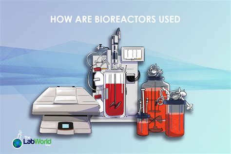 Bioreactor Applications The Lab World Group