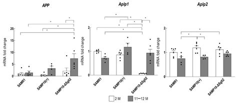 Mouse Models With Sglt2 Mutations Toward Understanding The Role Of Sglt2 Beyond Glucose