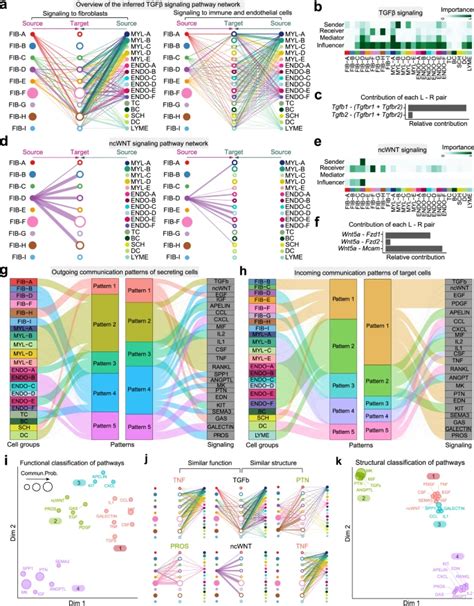 单细胞通讯分析工具 Cellchat Omics Hunter