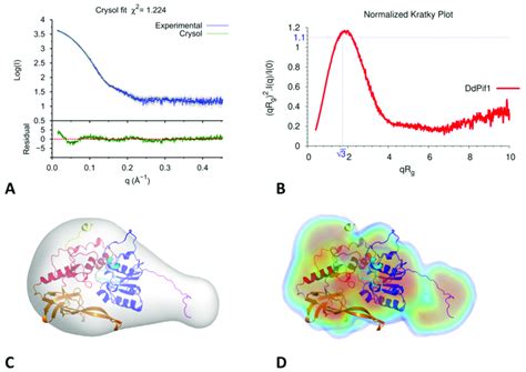 Saxs Analysis Of Ddpif1 Apo A Computed Saxs Curve From The Ddpif1