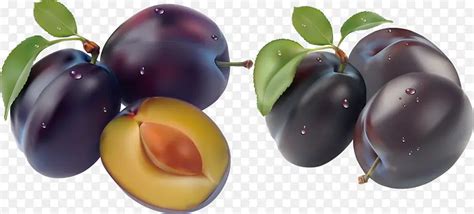 矢量西梅素材png图片素材下载图片编号ynoxmwlq 免抠素材网