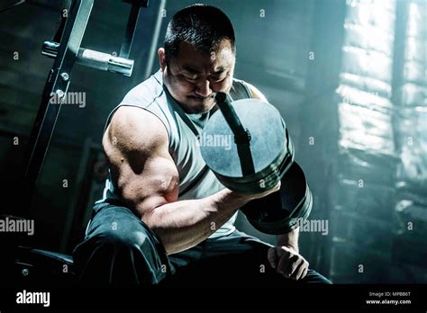 Champion Ma Dong Seok Well Go Usa Entertainment Courtesy Everett Collection Stock