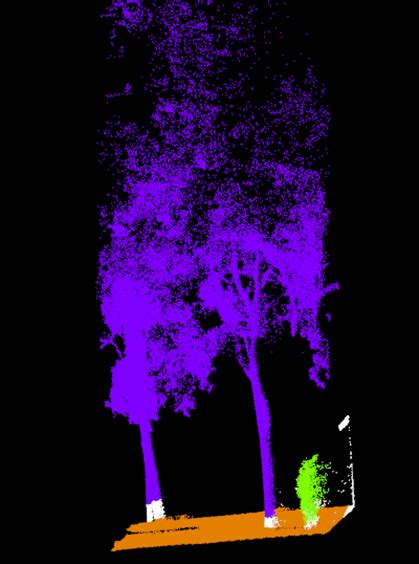 Point Cloud Full Supervised Labeling And Weak Supervised Labeling