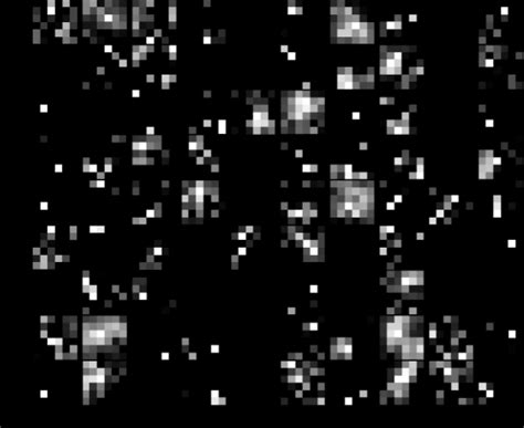 Feature Map Of Second Convolutional Layer Of Ova Cnn To Analyze The Download Scientific Diagram