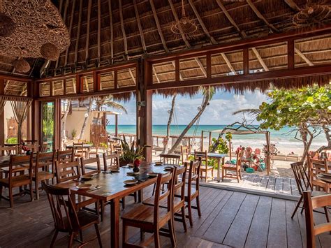 Indulge In Tulums Top 10 Culinary Delights • Localbird