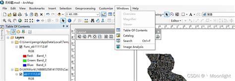 arcgis去除影像中的白边或黑边 arcgis如何去掉tif影像白边 csdn博客