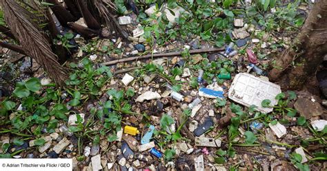 Pollution Plastique Cette Plastisphère Qui Menace Les écosystèmes Deau Douce Geofr