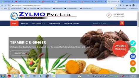 php javascript dynamic website development with 24 7 support rs 5000