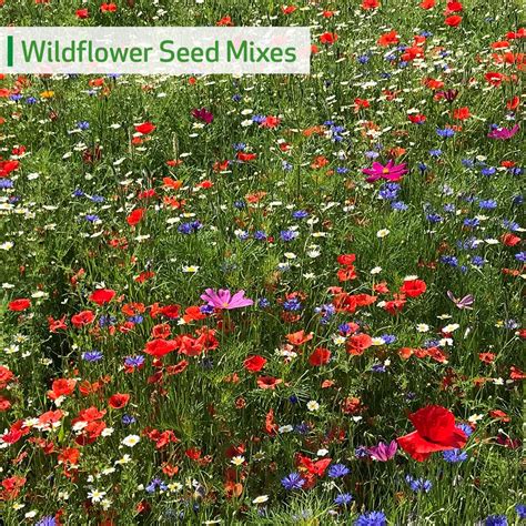 Greenfix Soil Stabilisation And Erosion Control Ltd On Linkedin