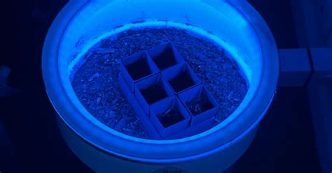 Flower Pot LED Cover Led Diffuser By Tipez Download Free STL Model Printables Com