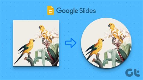 Ways To Crop A Picture Into A Circle In PowerPoint Guiding Tech