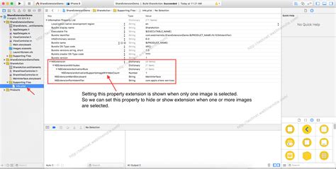 Share Ios Application Extension Overview With Example