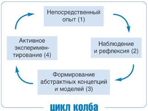 Цикл обучения по Колбу. Типы обучающихся - презентация онлайн