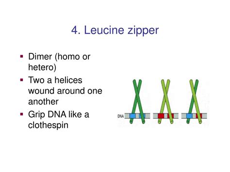 Ppt Protein Nucleic Acid Interactions Powerpoint Presentation Free