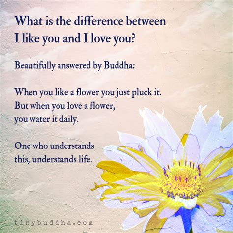 Difference Between Like And Ilike Brewmoli