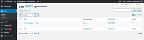 How To Set Up WordPress Multisite Domain Mapping