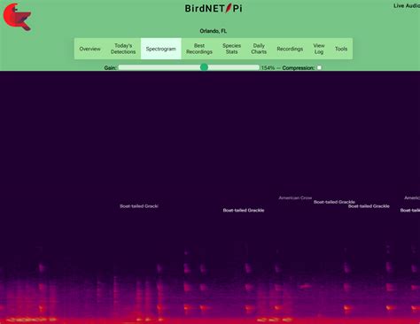 GitHub Neuromusic BirdNET Pi A Realtime Acoustic Bird Classification System For The Raspberry