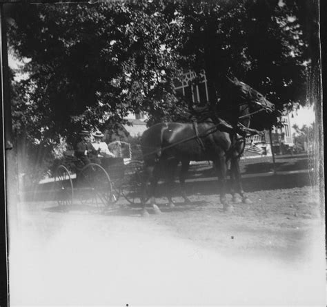Unidentified Couple Mount Vernon Historic Preservation Commission