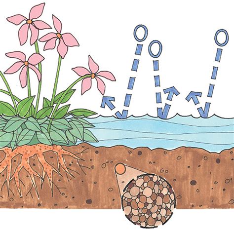 Steps To Minimize Flood Damage In The Garden Fine Gardening