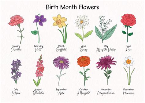 Birth Month Flowers Poster Printable Home Decor Flower Artwork