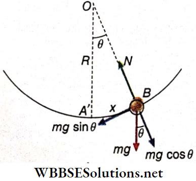 WBCHSE Class Physics Simple Harmonic Motion Long Answer Type Questions WBBSE Solutions