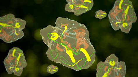 Lysozyme Protein 3d Model Turbosquid 2187644