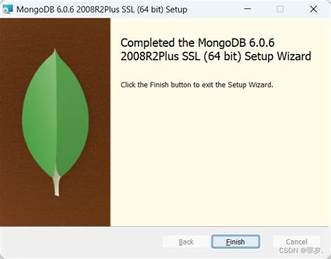 mongodb 保姆级安装教程 mongodb保姆级安装 csdn博客