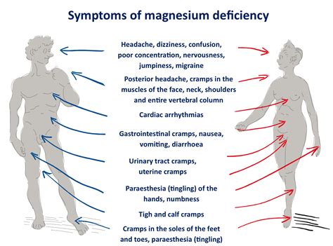 Magnesium Deficiency Symptoms The Magnesium Guide