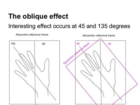 spatial perception presentation