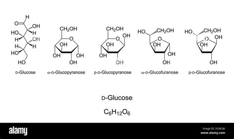 Glucose Monosaccharide Chemical Structure Simple Sugar Natta Projection Of Open Chain D