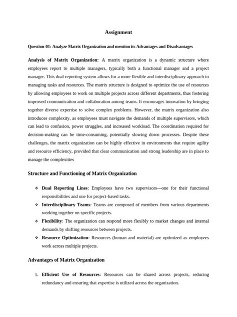 Assignment Analysis Of Matrix Organization Pdf