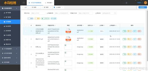 网安毕设之木马文件检测系统 Javavuespringbootmysqlvue前端安全检测系统 Csdn博客