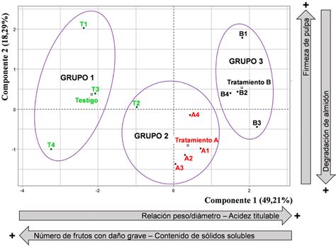 Principal Component Analysis Scatter Plot Of The First Two Components