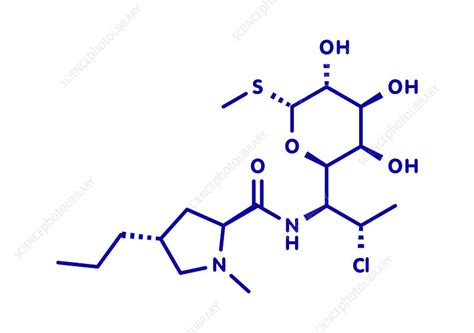 Clindamycin Antibiotic Drug Molecular Model Stock Image F025 1854