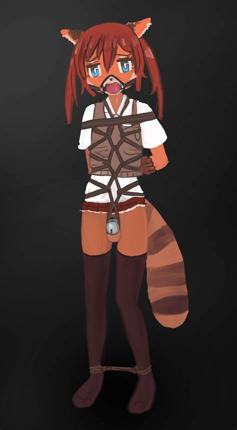 Rule 34 Ailurid Anthro Ball Gag Bondage Bound Chastity Cage Chastity