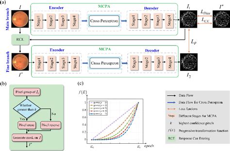 Mcpa Multi Scale Cross Perceptron Attention Network For 2d Medical Image Segmentation Paper