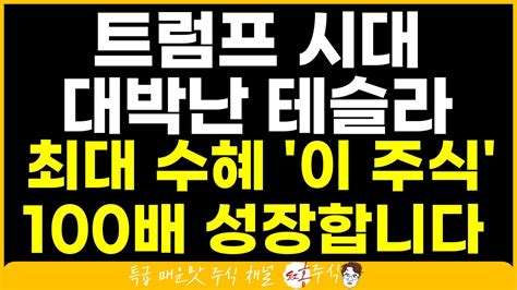 트럼프 시대 대박난 테슬라 최대 수혜 이 주식 100배 성장합니다 Youtube